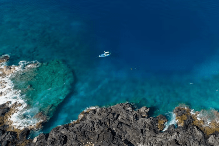 3-Hour Kona Snorkel & Dolphin Watching Tour in Big Island, Hawaii